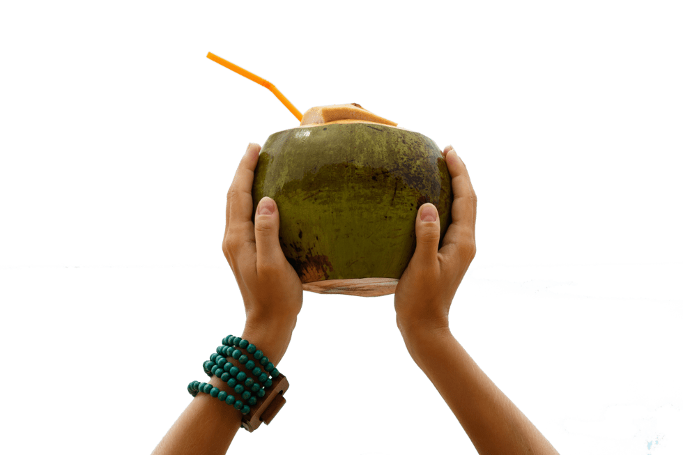 Custom Branded Coconuts - SWFL Nauti Coconut Fresh Coconuts